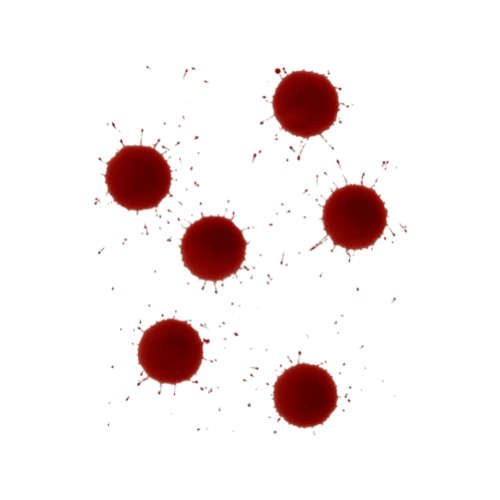 Bloodstain Pattern Analysis Training | Pinnacle Forensics