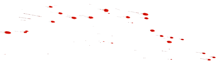 Bloodstain Pattern Analysis Training | Pinnacle Forensics