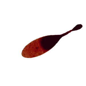 Bloodstain Pattern Analysis Training | Pinnacle Forensics