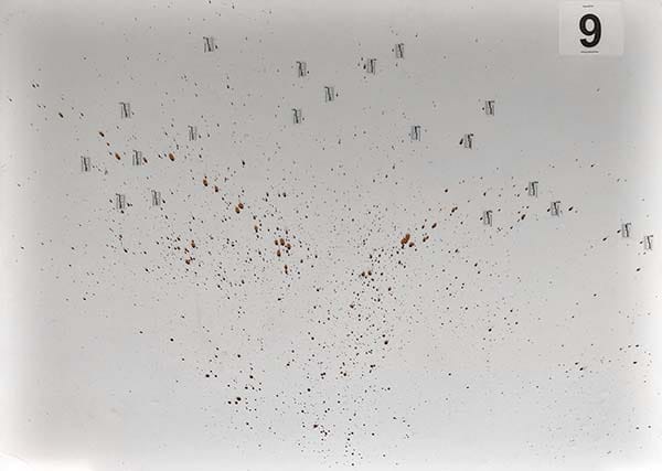 Crime Scene Expert - John Calvin Gaziano | Pinnacle Forensics